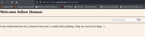 Picoctf Findme Pentest Journeys