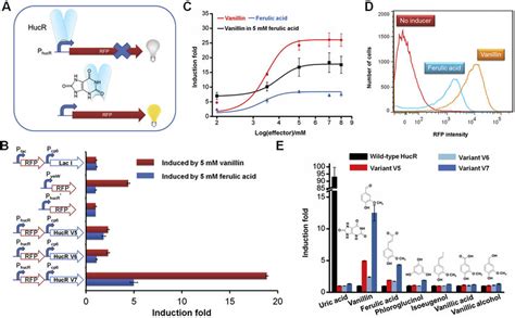 Development And Characterization Of A Novel Regulatory Component Download Scientific Diagram