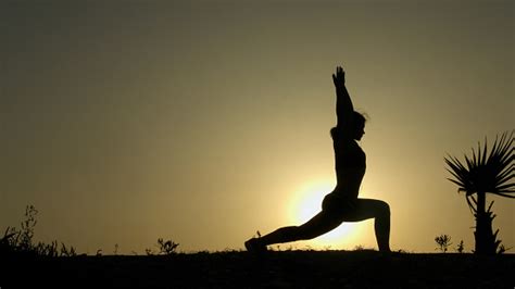 설정 태양 배경 명상 기법에 균형에 대 한 완벽 한 요가 포즈 건강관리와 의술에 대한 스톡 사진 및 기타 이미지 건강관리와
