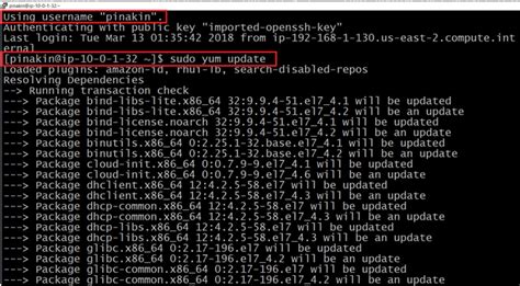 Setting Up Sql Server On Red Hat Linux In Aws Part 1