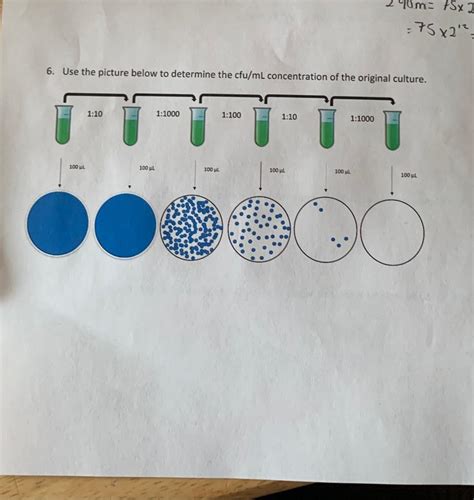 Solved 6 Use The Picture Below To Determine The Cfu ML Chegg Com