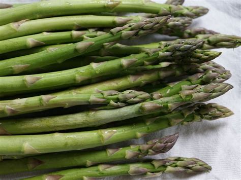 Šparoga Vrtlaricahr