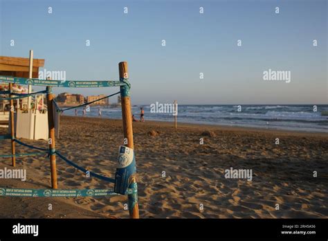 Turtle Nest Loggerhead Sea Turtle Nesting Site Special Constructions