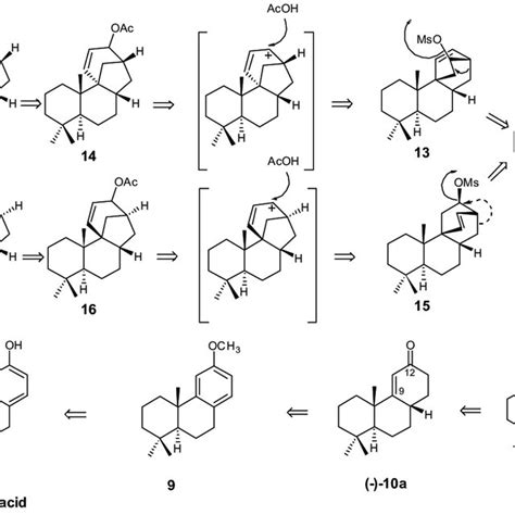 Scheme 1 Retrosynthetic Analysis Of The Preparation Of Tetracyclic Download Scientific Diagram