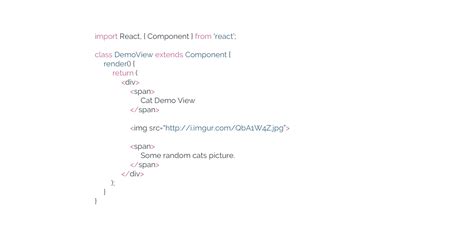 Pros And Cons Of ReactJS Web App Development DDI Development
