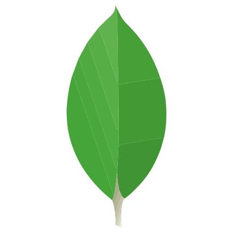 Dive Deep Into The World Of Mongodb Aggregation And Unlock Its Full