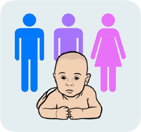 Easy Read Have Your Say