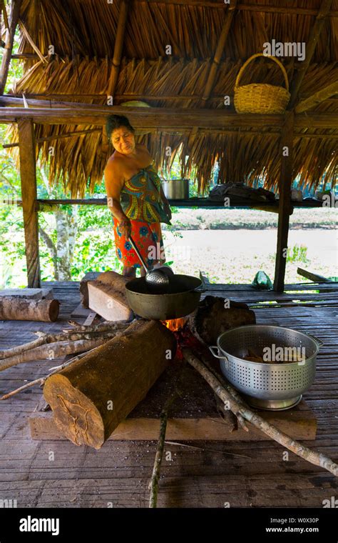 Embera Ethnic Group Community Chagres River Chagres National Park Colon Province Panama