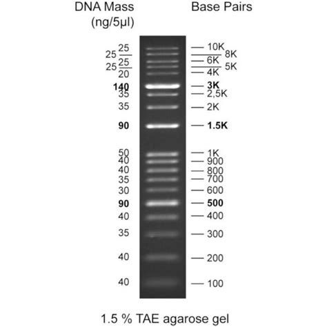 1kb Plus Dna Ladder 100 10kb Thistle Scientific