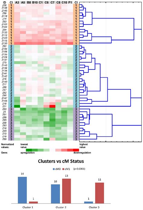 Tree Clustering Wards Method Euclidean Distances Heat Map