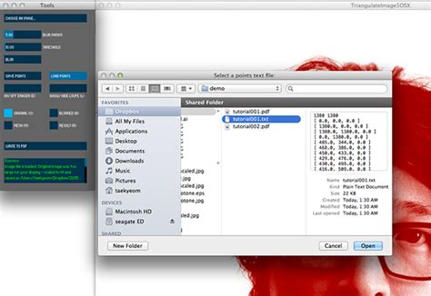 2015 Tutorial Low Poly Portrait On Behance