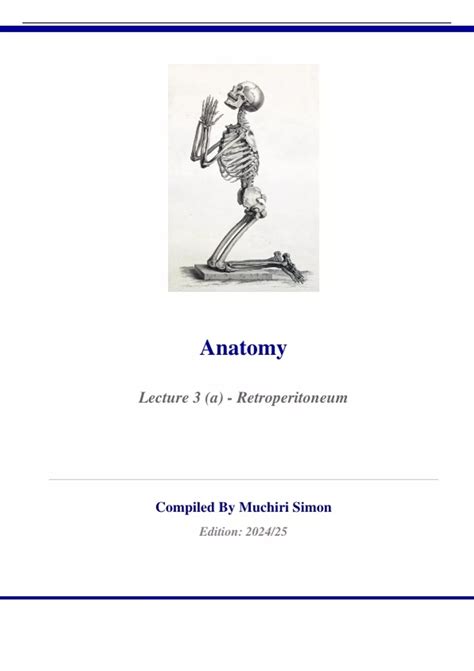 Anatomy Lecture 3 A Retroperitoneum Anatomy Stuvia Us