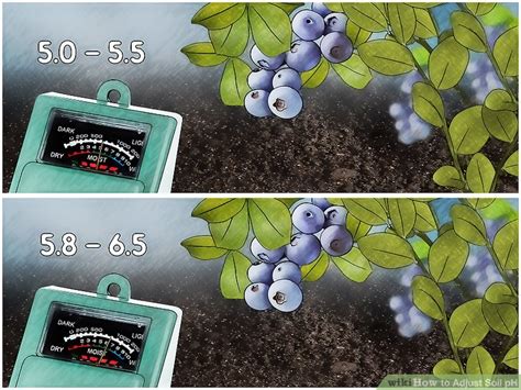 3 Ways To Adjust Soil PH WikiHow 3 Ways To Adjust Soil PH WikiHow