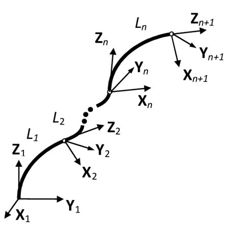 A Continuum Robot Considered As A Series Of N Circular Elements
