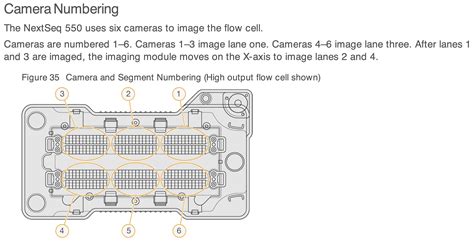 Nextseq 550 Imaging System By Nava Whiteford