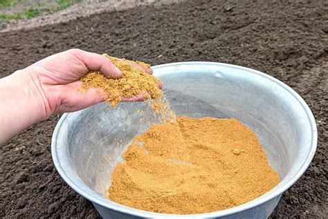 Даже самую бедную неплодородную почву можно легко улучшить этим порошком весной Внесите в марте