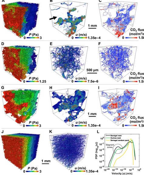Flow Fields And Co 2 Diffusive Fluxes A And B Flow Field Simulation Download Scientific