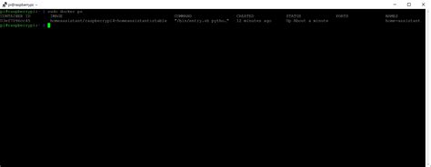 how to update home assistant docker container jack stromberg