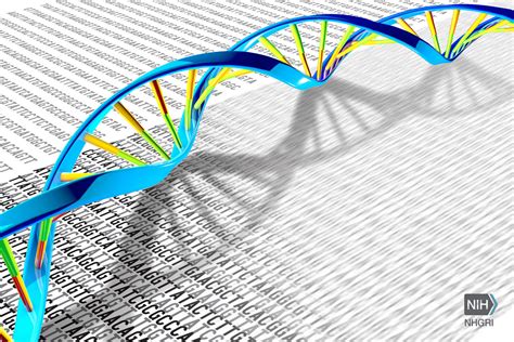 Germline Variations Impact Cancer Cell Gene Expression Mirage News