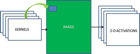 Convolutional Neural Networks Architecture Download Scientific Diagram