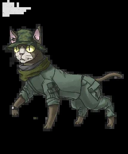 دانلود فایل پی ان جی و بدون زمینه و دوربری شده گربه خاکستری