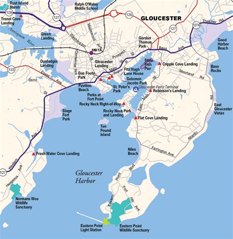 Gloucester Gig Rowers