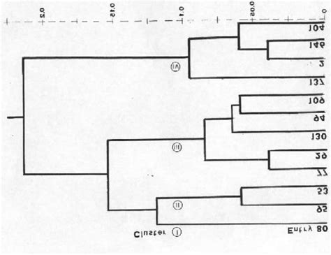 Phenogram From Cluster Analysis Of Twelve Lathyrus Sativus L Entries Download Scientific