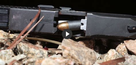 Tritech On Twitter Https Vidmax Com Video Cop Shows A Female Thug Equal Rights By