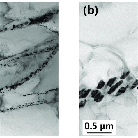 Cross Sectional Macrostructure A And Microstructure B Of The
