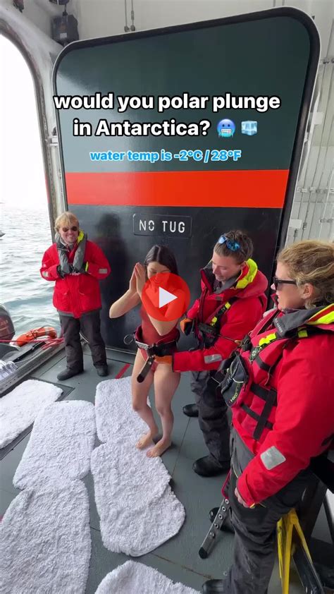 ㅇㅎ 특별한 남극다이빙 ㅋㅋ Mp4 유머 움짤 이슈 에펨코리아