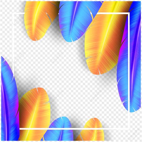 깃털 일러스트 질감 흰색 선 테두리조직하얀 Png 일러스트 무료 다운로드 Lovepik