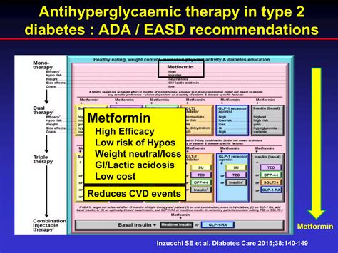 Role Of Metformin In Dm2 And Glibenclamide Combination Pptx