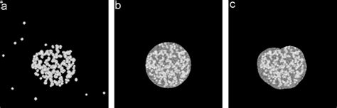 Filtering Of A Gray Scale Image By Density Openings The Initial Gray Download Scientific