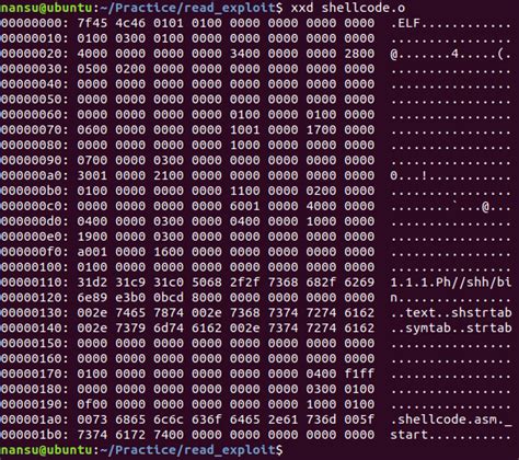 Execve Shellcode 제작 및 입력