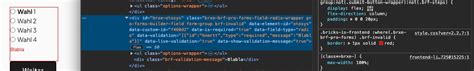 Live Validation In Checkbox Does Not Show Validation Message Bug