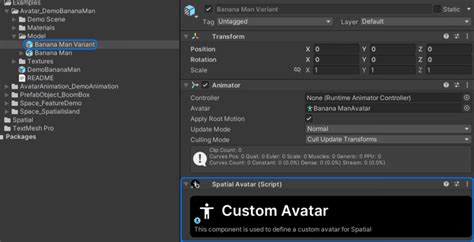 Avatar Package Spatial Creator Toolkit