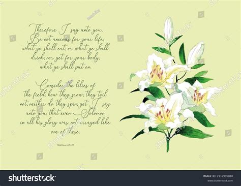Lily Of The Valley Jesus
