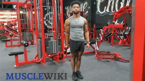 MuscleWiki Simplify Your Workout