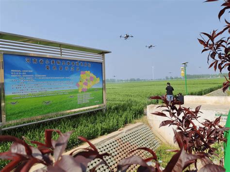 夏邑县植保植检站：开展“一喷三防”保夏粮增产丰收防治宣传技术