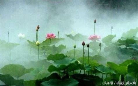 原創詩歌最美最深地情詩只為你墨生花 每日頭條