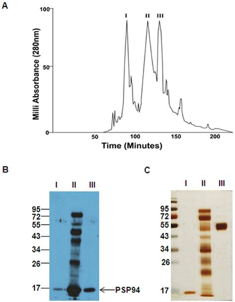 Fractionation Of Human Seminal Plasma Proteins A Preparative Rp Hplc