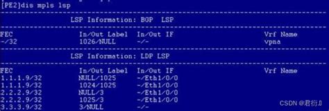 浅谈双层标签的vpn 第二篇 bgp mpls ip vpn的两层标签 bgp lsp和ldp lsp csdn博客