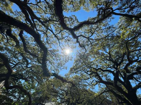 Limit Infinity Medium