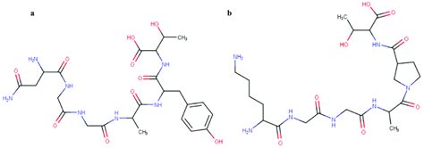 two dimensional structures of the non structural protein cleavage