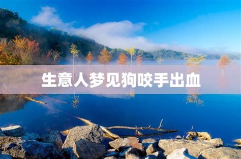 生意人梦见狗咬手出血 命理解梦