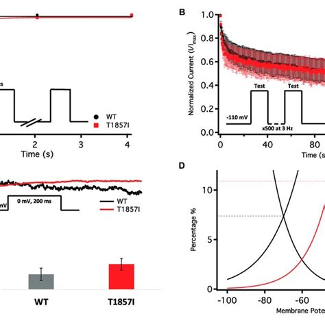 Comparison Of Fast Inactivation Recovery Use Dependence Persistent