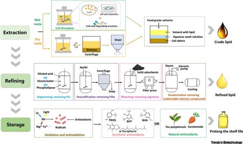 Economical Downstream Processing Of Microbial Polyunsaturated Fatty Acids Trends In Biotechnology