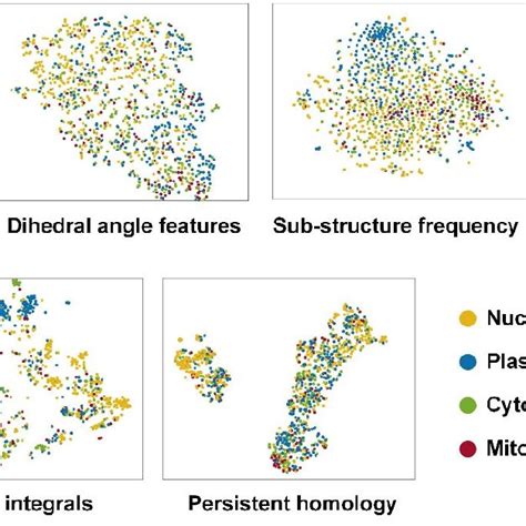 T Sne Visualization Of The Structural Features Download Scientific Diagram