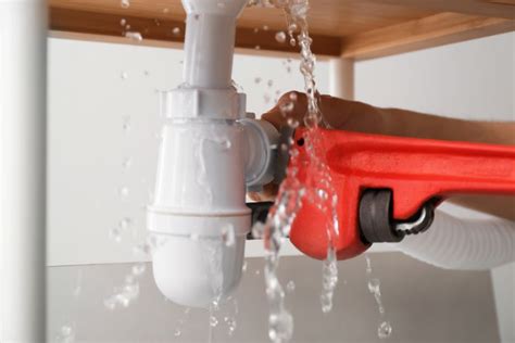 Tackling Common Plumbing Woes Expert Solutions