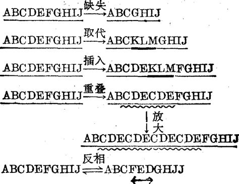 基因重排 中国医学百科